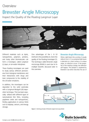 Brewster angle microscopy